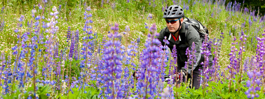 Bike Rentals – Tonka Cycles and Skis